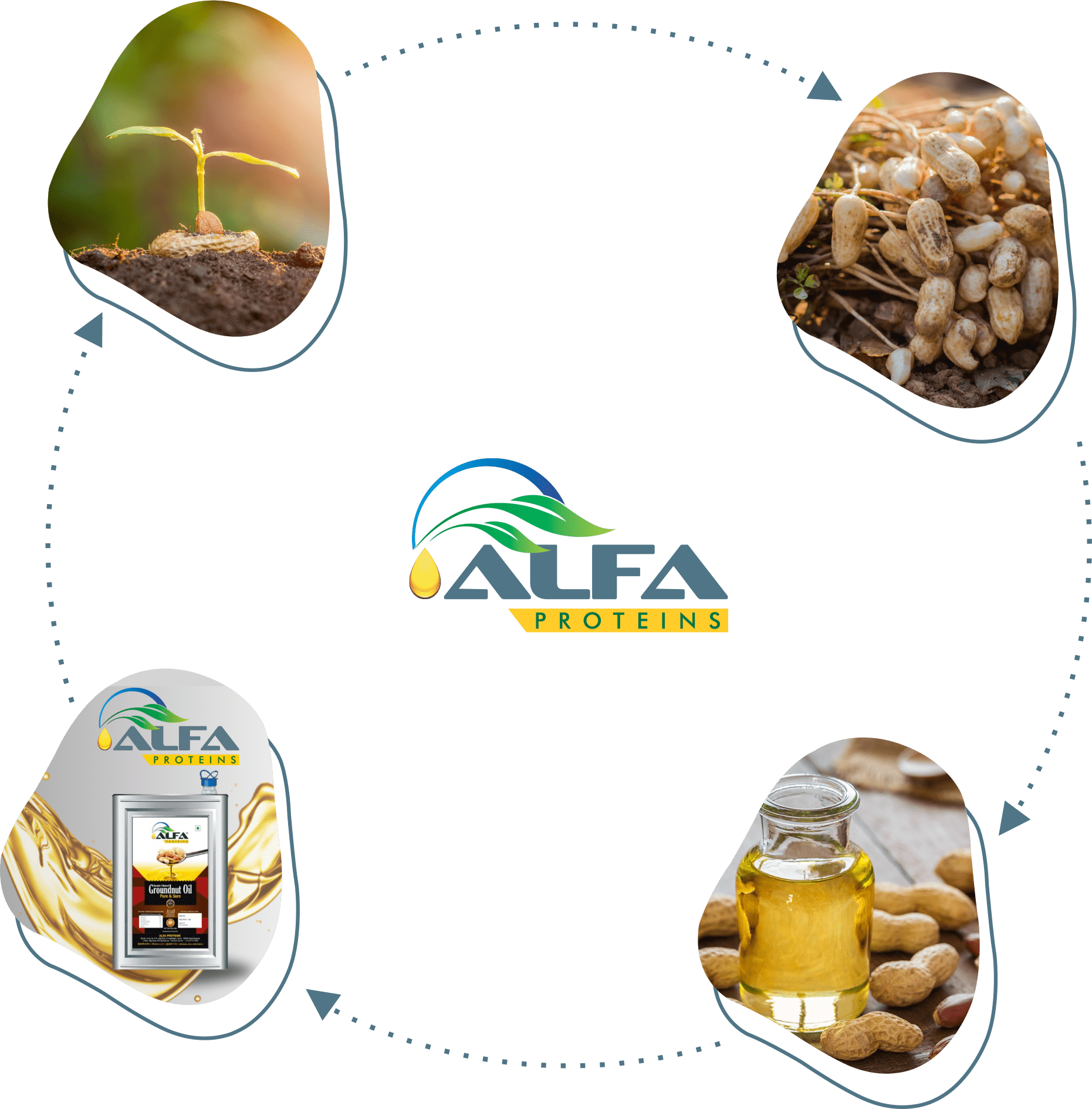 Alfa Proteins